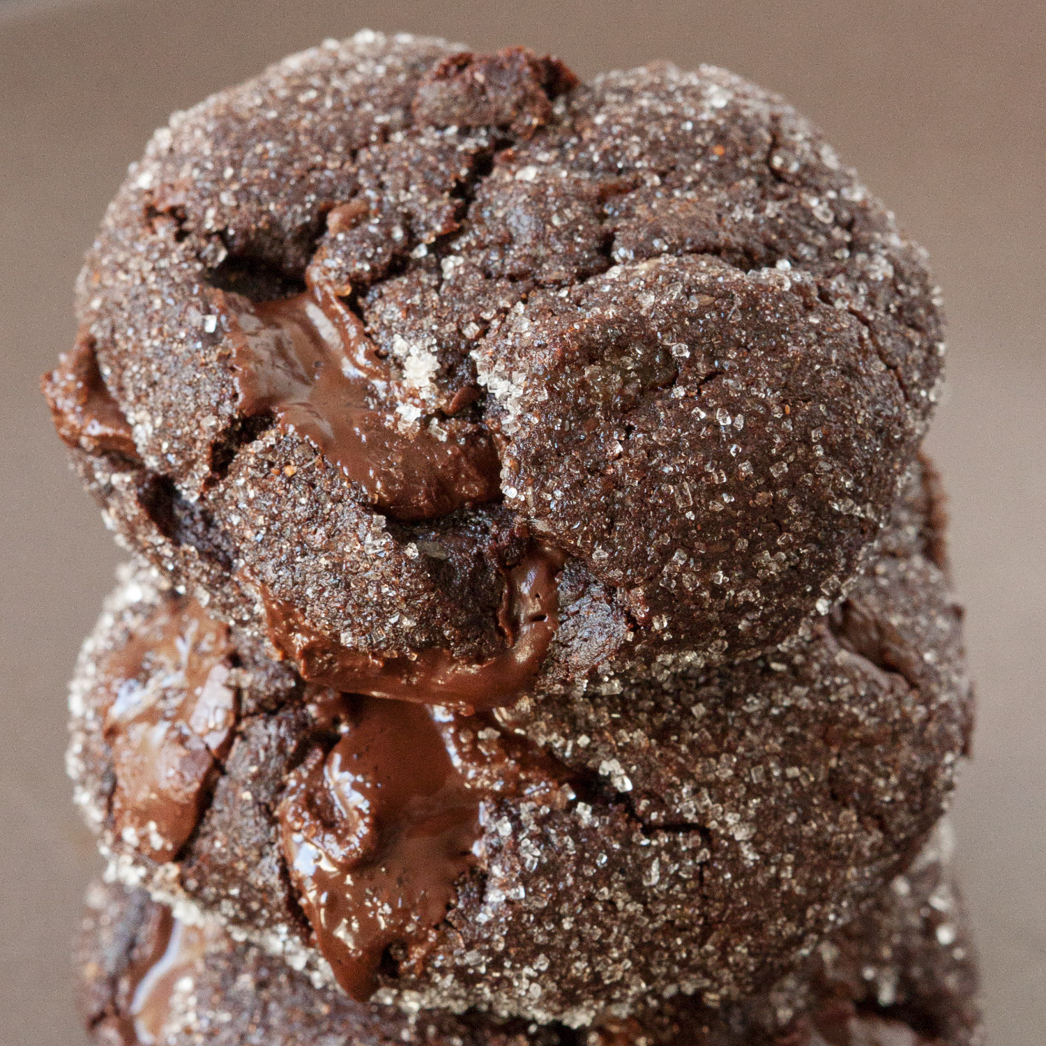 chocolate-gingerbread-cookies-2-fi - Texanerin Baking
