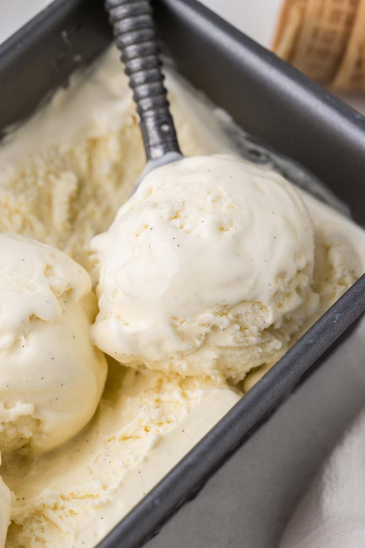 French Vanilla Ice Cream - Texanerin Baking