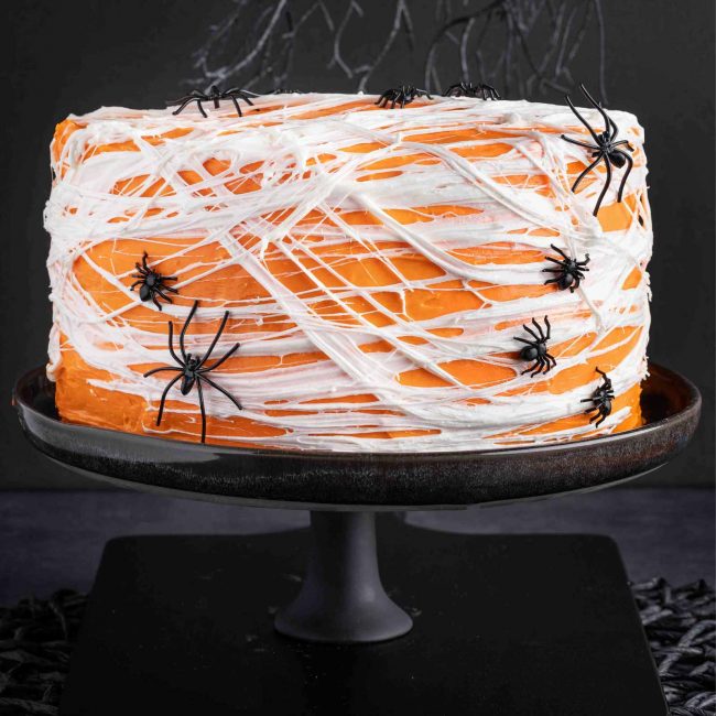 Spiderweb Cake - Texanerin Baking