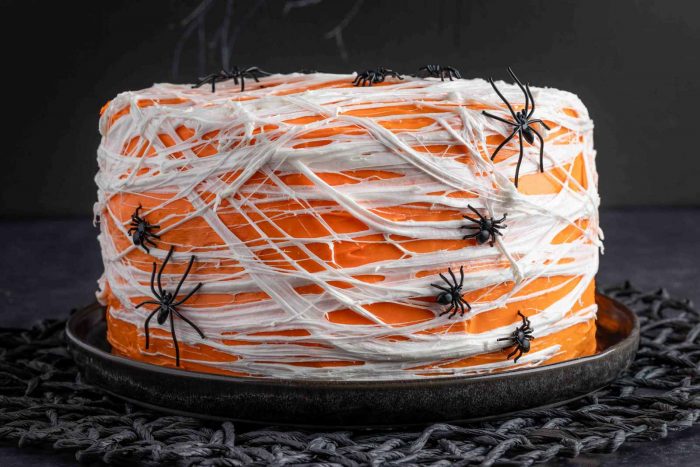Spiderweb Cake - Texanerin Baking