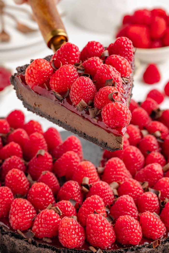 Raspberry Chocolate Tart - Texanerin Baking